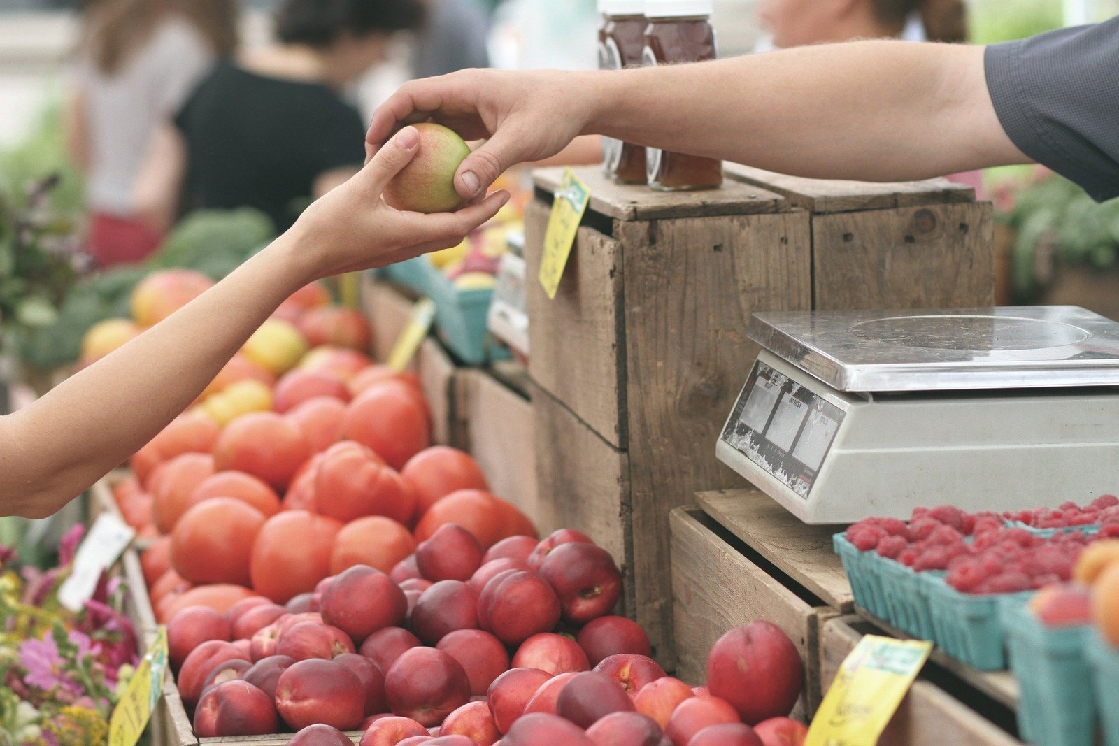 17 Ways To Get Your First Customers - StartupBrite